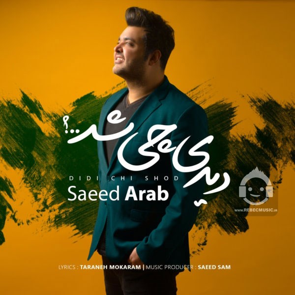 دانلود آهنگ دیدی چی شد - سعید عرب | ربک موزیک